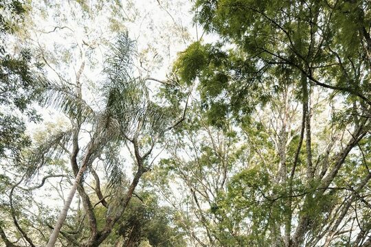 Pré Wedding em Witmarsum | Fotografo casamento, Ponta Grossa, Casal ...